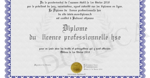 Diplome du licence professionnelle hse