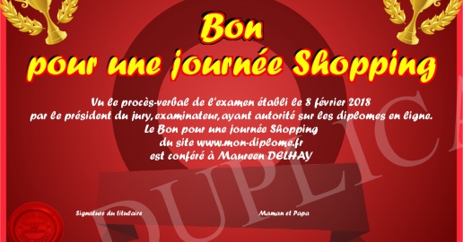 Bon pour une journee Shopping