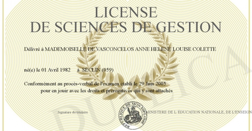 LICENSE DE SCIENCES DE GESTION