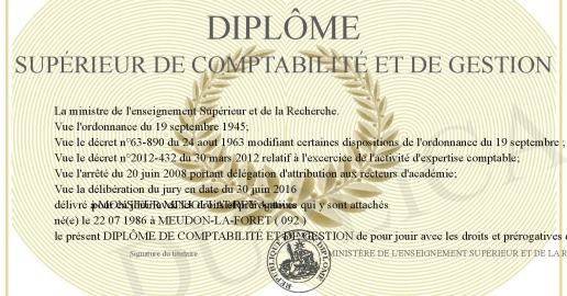 DIPLÔME SUPÉRIEUR DE COMPTABILITÉ ET DE GESTION