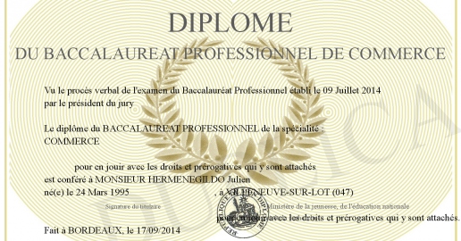 Diplome du baccalaureat professionnel de commerce