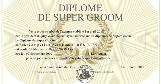 Diplome de Super Groom