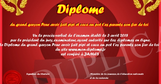 Diplome du grand garcon Pour avoir fait pipi et caca au pot t'es ...