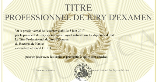 Titre Professionnel de Jury d Examen