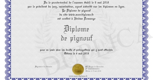 Diplome de pignouf
