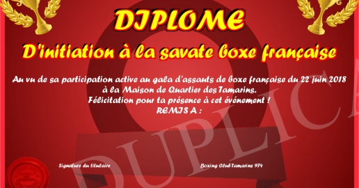 DIPLOME D initiation a la savate boxe francaise
