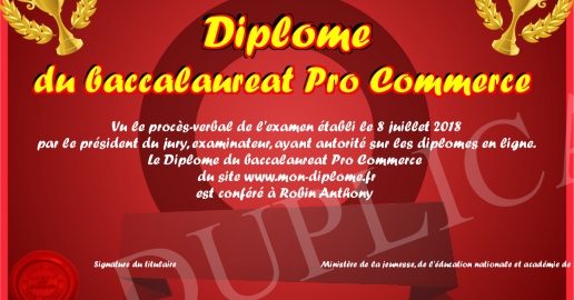 Diplome du baccalaureat Pro Commerce