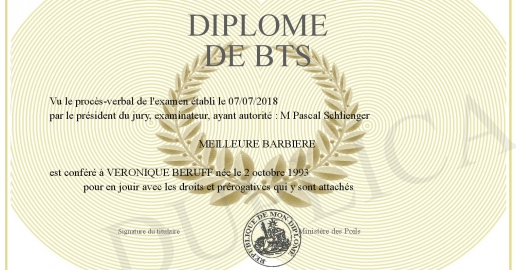 Diplome de BTS