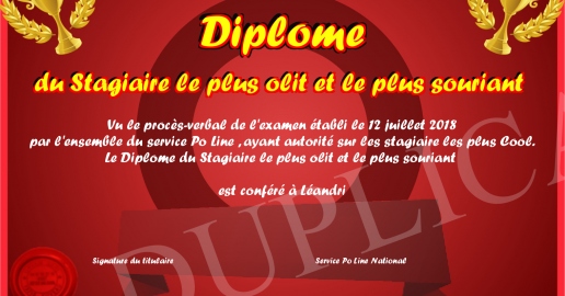 Diplome du Stagiaire le plus olit et le plus souriant
