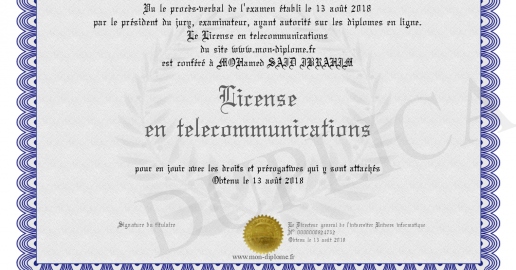 License en telecommunications