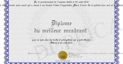Diplome du meilleur encadrant