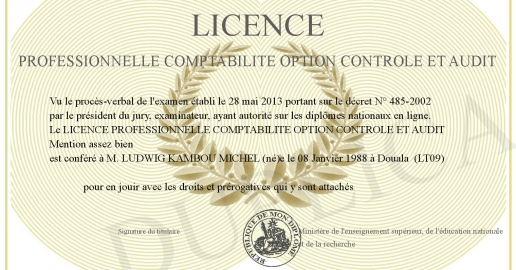 LICENCE PROFESSIONNELLE COMPTABILITE OPTION CONTROLE ET AUDIT