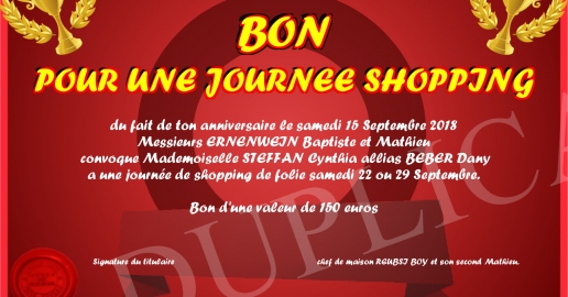 BON POUR UNE JOURNEE SHOPPING