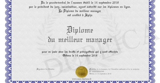 Diplome du meilleur manager