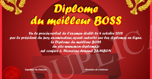 Diplome du meilleur BOSS