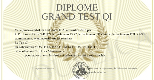 Diplome Grand Test QI