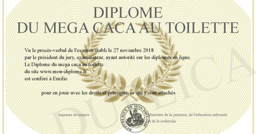 Diplome du mega caca au toilette