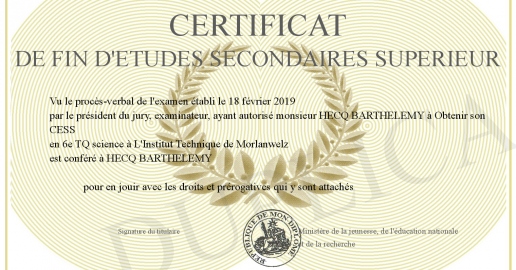 Certificat de fin d etudes secondaires superieur