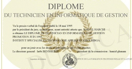 Diplome du technicien en informatique de gestion