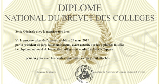 Diplome national du brevet des colleges