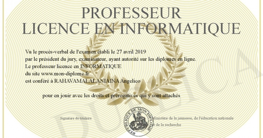 professeur licence en INFORMATIQUE