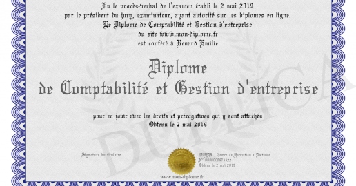Diplome de Comptabilite et Gestion d entreprise