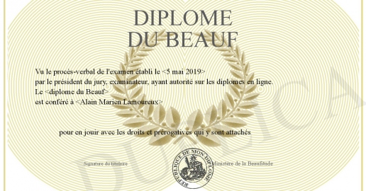 Diplome du beauf