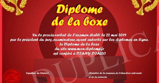 Diplome de la boxe