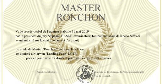 Master Ronchon
