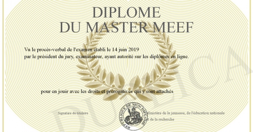 Diplome du MASTER MEEF