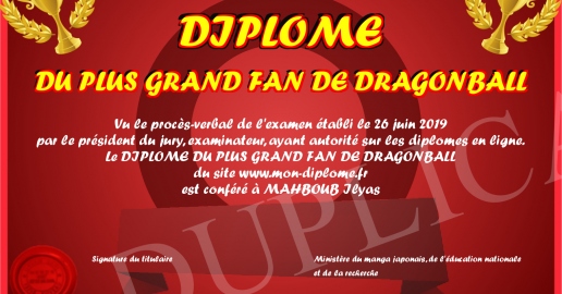 DIPLOME DU PLUS GRAND FAN DE DRAGONBALL