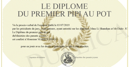 Le Diplome du premier pipi au pot