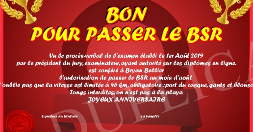 BON POUR PASSER LE BSR