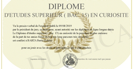 Diplome d etudes superieur ( Bac 15) en curiosite