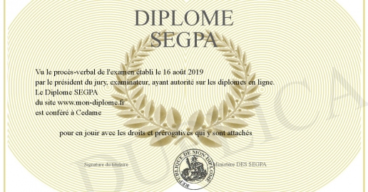 Diplome SEGPA