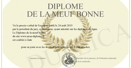 Diplome de la meuf bonne