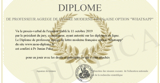 Diplome de professeur agrege de lettre moderne francaise option -whatsapp-