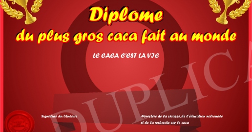 Diplome du plus gros caca fait au monde