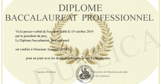 Diplome baccalaureat professionnel