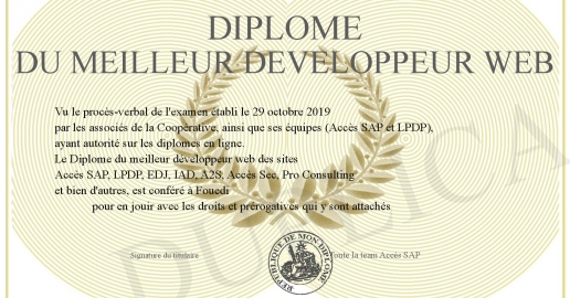 Diplome du meilleur developpeur web