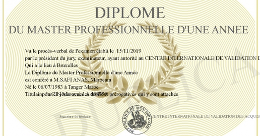 Diplome du Master Professionnelle d une Annee