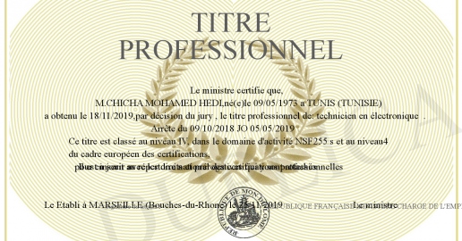 TITRE PROFESSIONNEL