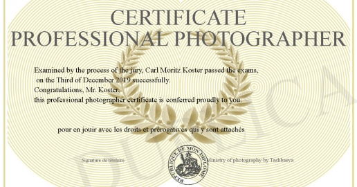certificate professional photographer