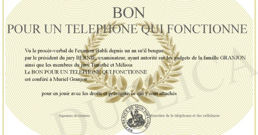 BON POUR UN TELEPHONE QUI FONCTIONNE