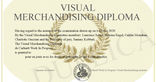 Visual Merchandising Diploma