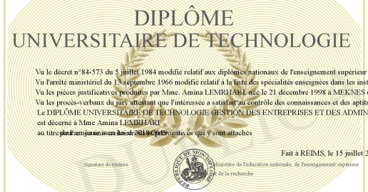 DIPLÔME universitaire de technologie