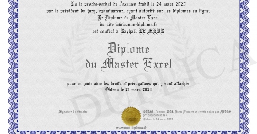Diplome du Master Excel