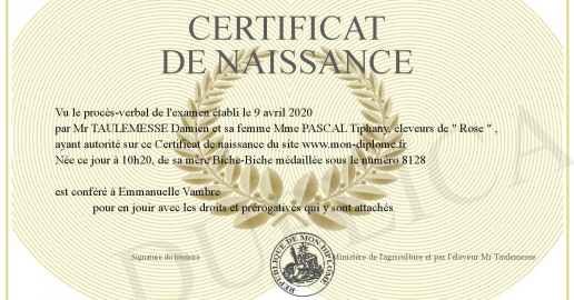 Certificat de naissance