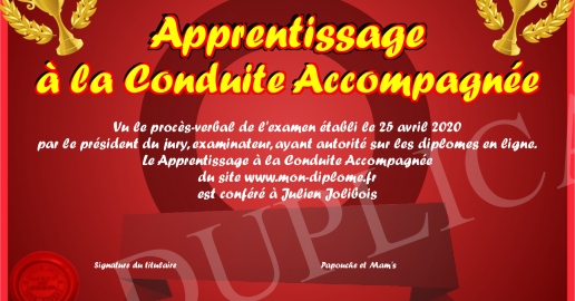 Apprentissage a la Conduite Accompagnee