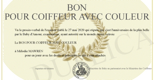 BON POUR COIFFEUR AVEC COULEUR